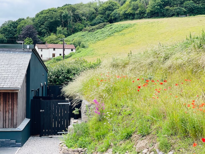 Collective Yard - Croyde