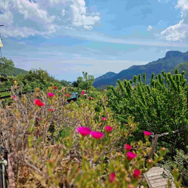 Casa Vacanze "Anna Home Holiday" - Tramonti