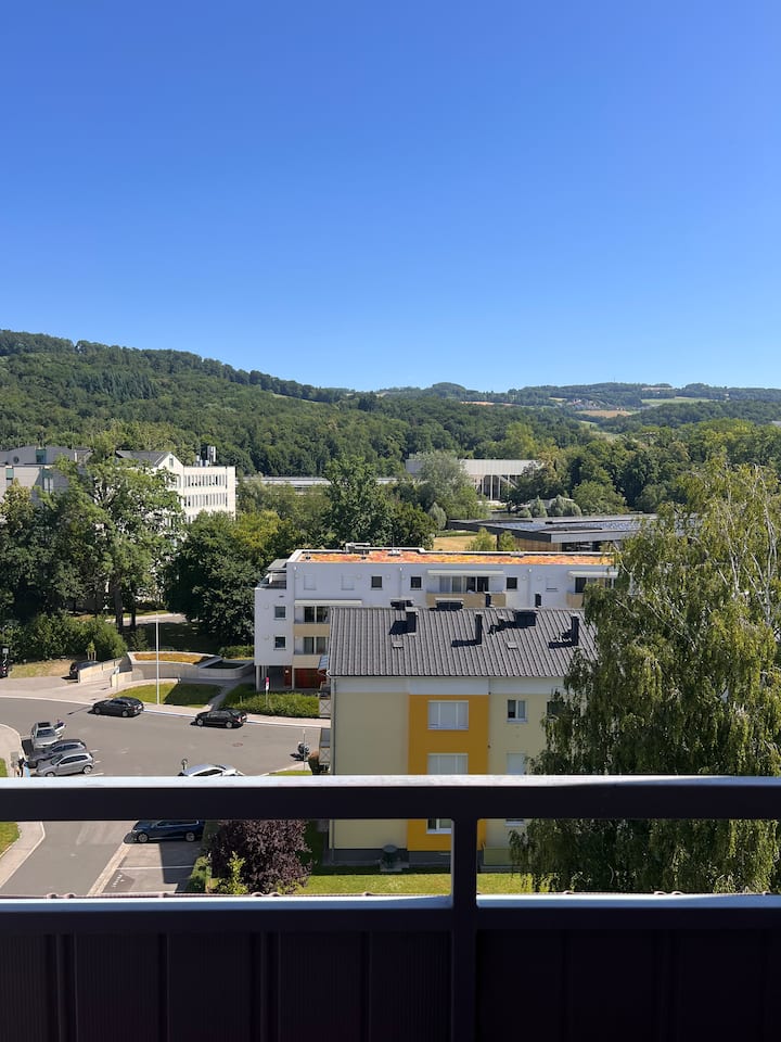 Ruhiges Zimmer Nahe Jku & Natur - Linz