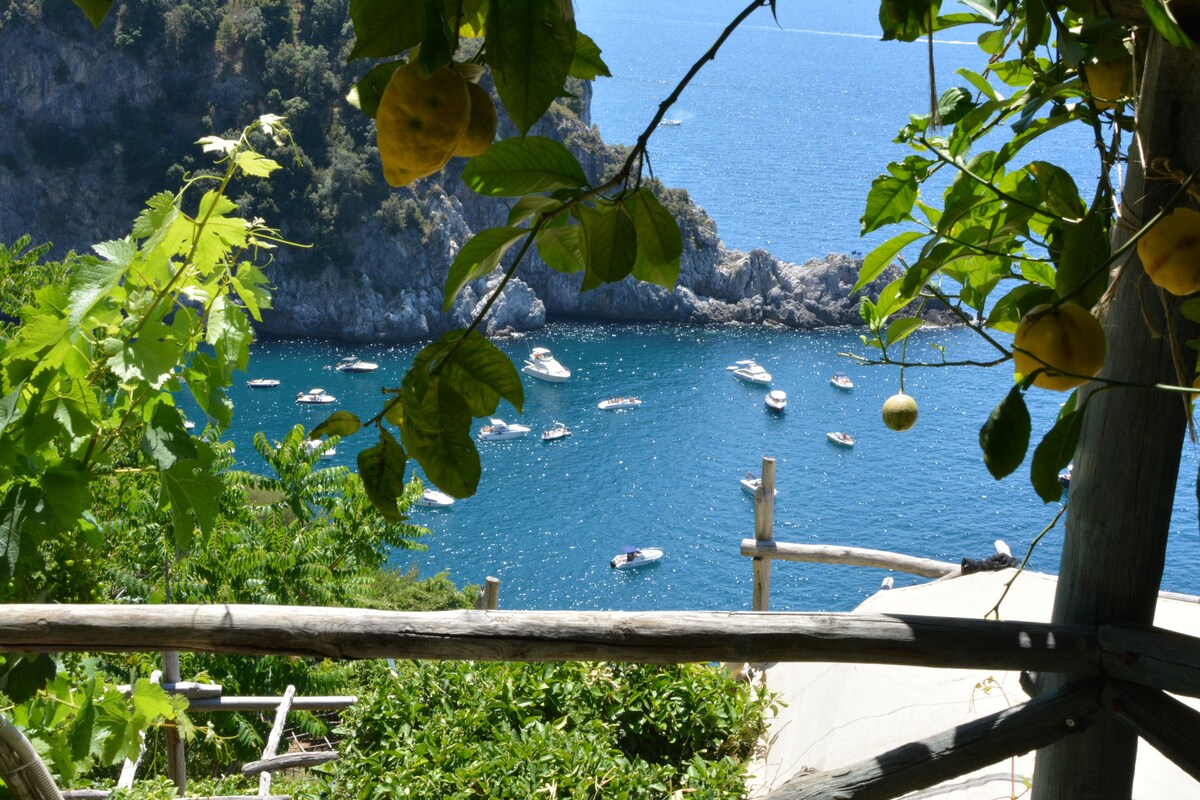 Tenda Citrus Suite vista mare - Tents for Rent in Maiori, Campania ...