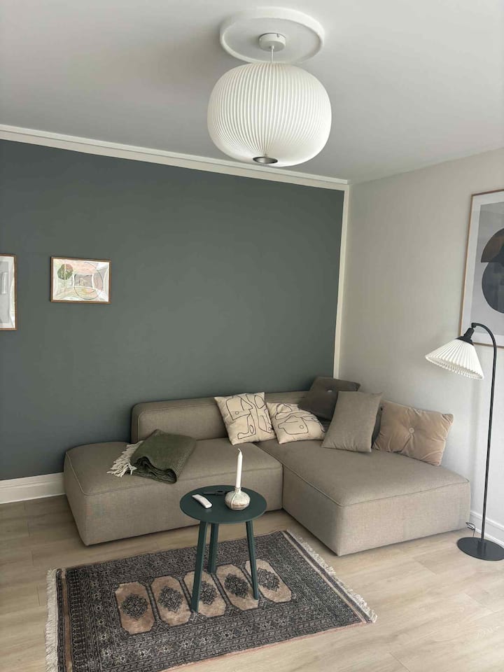 Moderne Lejlighed Centralt I København - Copenaghen