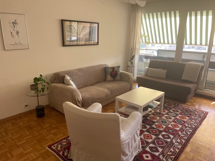Cosy Apartement Next To City Center. - Geneva
