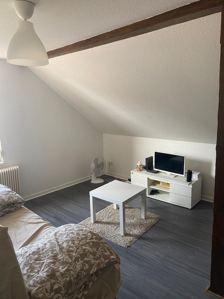 Appartement Bischheim T1 - Bischheim
