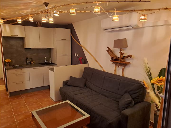 Appartement 2 / 4 / 6 Personnes Bord De Plage - Corsica