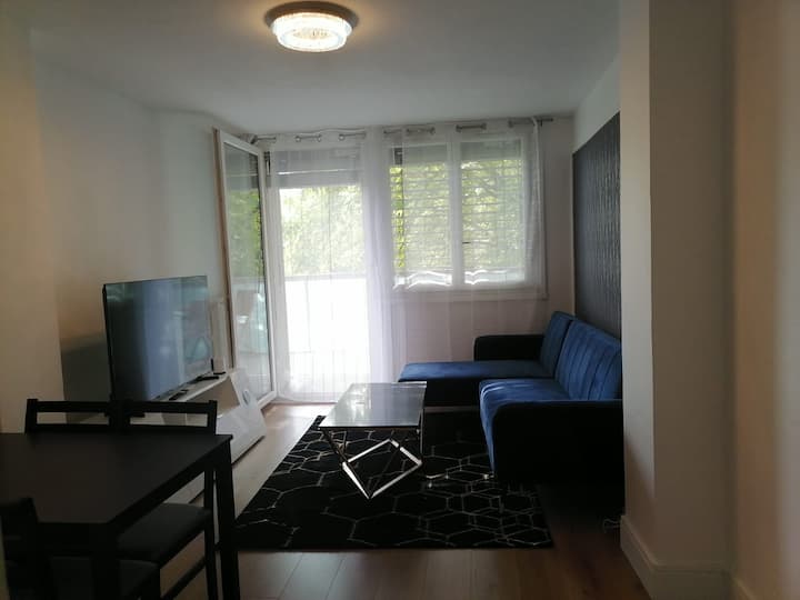Appartement T4 Avec Terrasse - Lyon