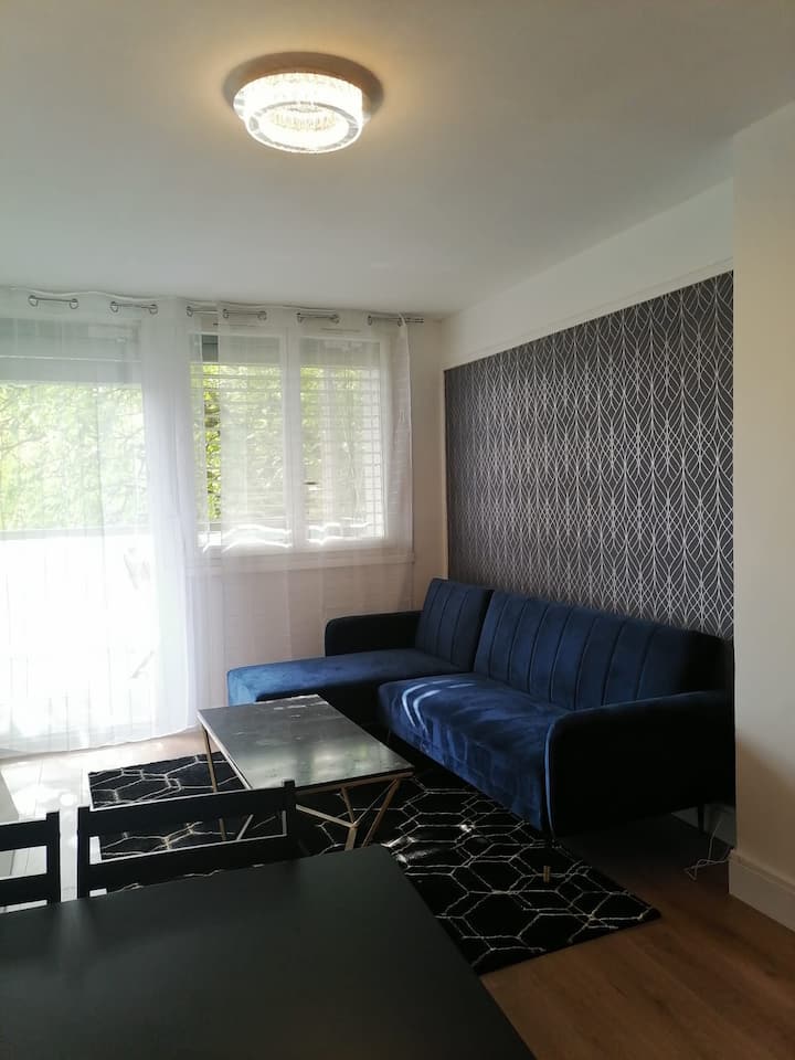 Appartement T4 Avec Terrasse - Lyon