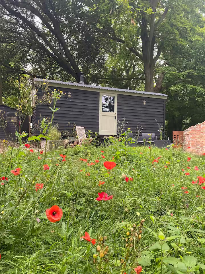 Cosy Shepherd’s Hut With Stunning Valley Views - Sevenoaks