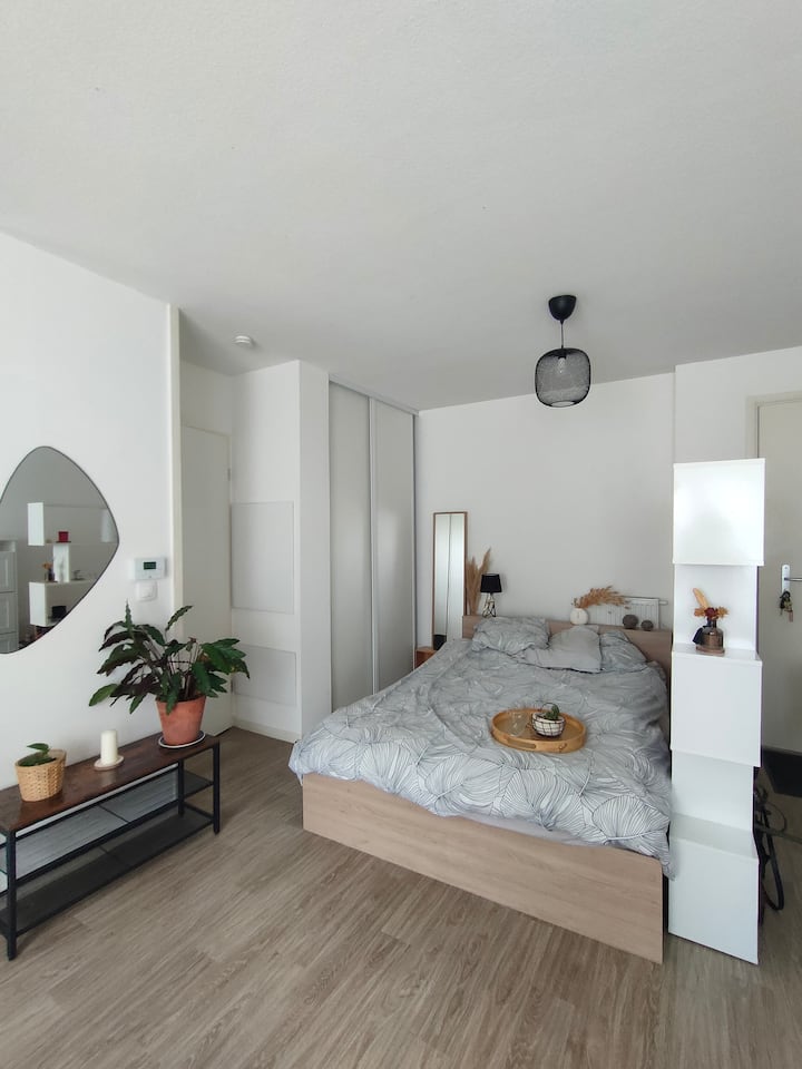 Appartement T1 Bis | Floirac - Floirac