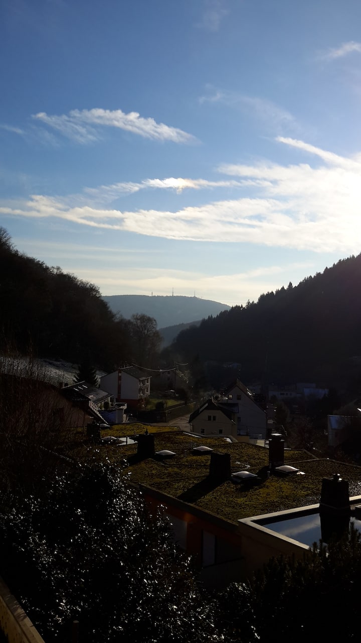 Ruhiger Schweizer Talblick - Heidelberg