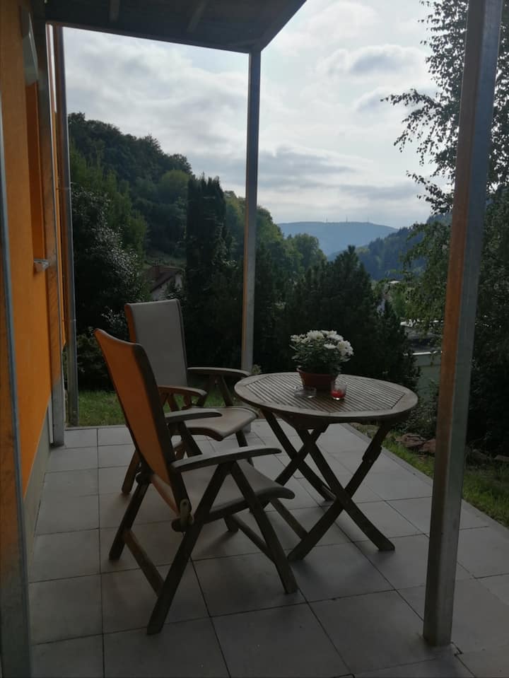 Schweizer Talblick Mit Terasse - Heidelberg