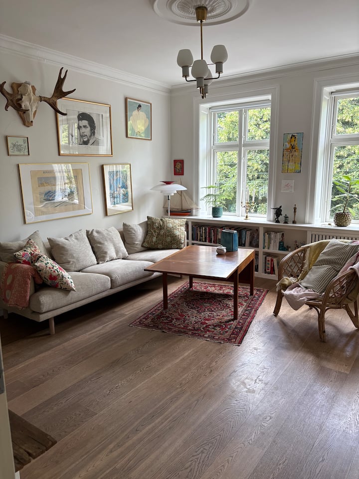 Hyggelig Lejlighed I Indre By - Copenhagen