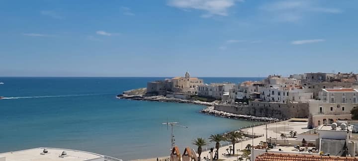 Terrazza Tra Terra E Mare - Vieste