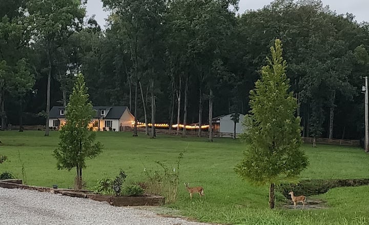 Creek Side Hide Away - Chapel Hill, TN