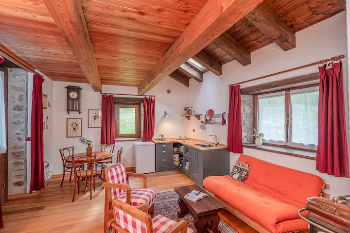 La Casa Nel Fienile A Gressoney! - Gressoney-Saint-Jean