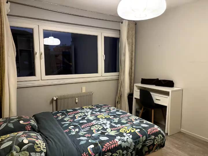 Chambre Cosy - Centre Ville & Proche Suisse Annecy - 