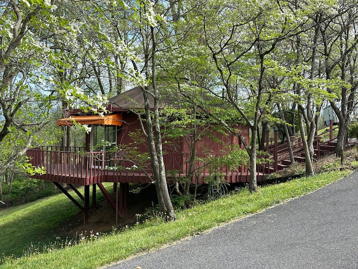 Private 1br Home • Quiet Wooded Stay Near Bristol - Bristol, TN