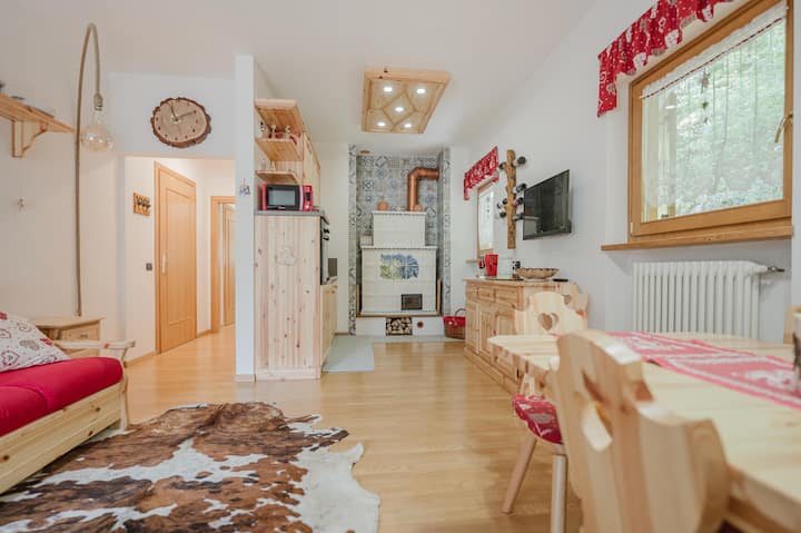 I Folli Di Alleghe Apartment: Parking & Wi-fi - Selva di Cadore