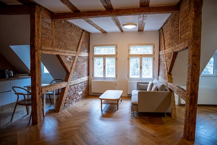 Film Festival Podkrovní Byt - Karlsbad