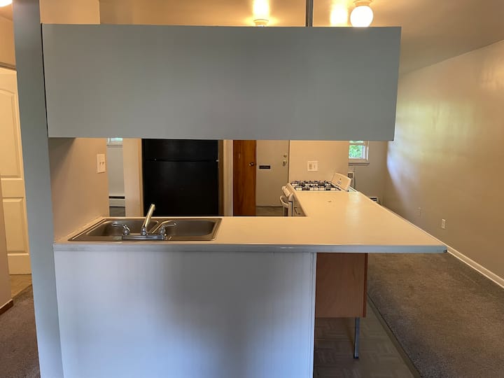 Lake Street Lagoon View Loft - Gary, IN