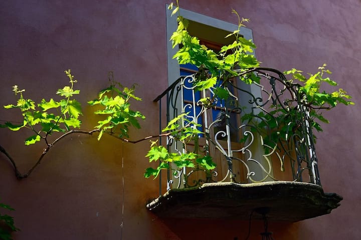 Beautifully Renovated Rustico - Santa Maria Maggiore