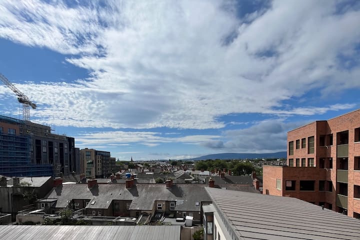 Bright & Stylish  Apartment In Central Dublin 8 - Dublin