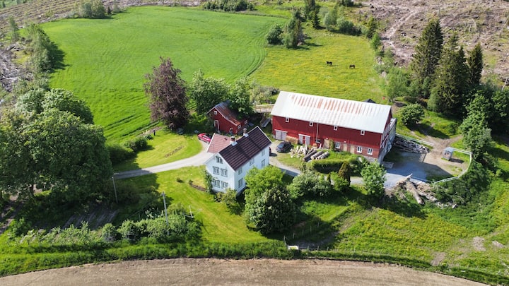 Småbruk I Steinkjer - Steinkjer