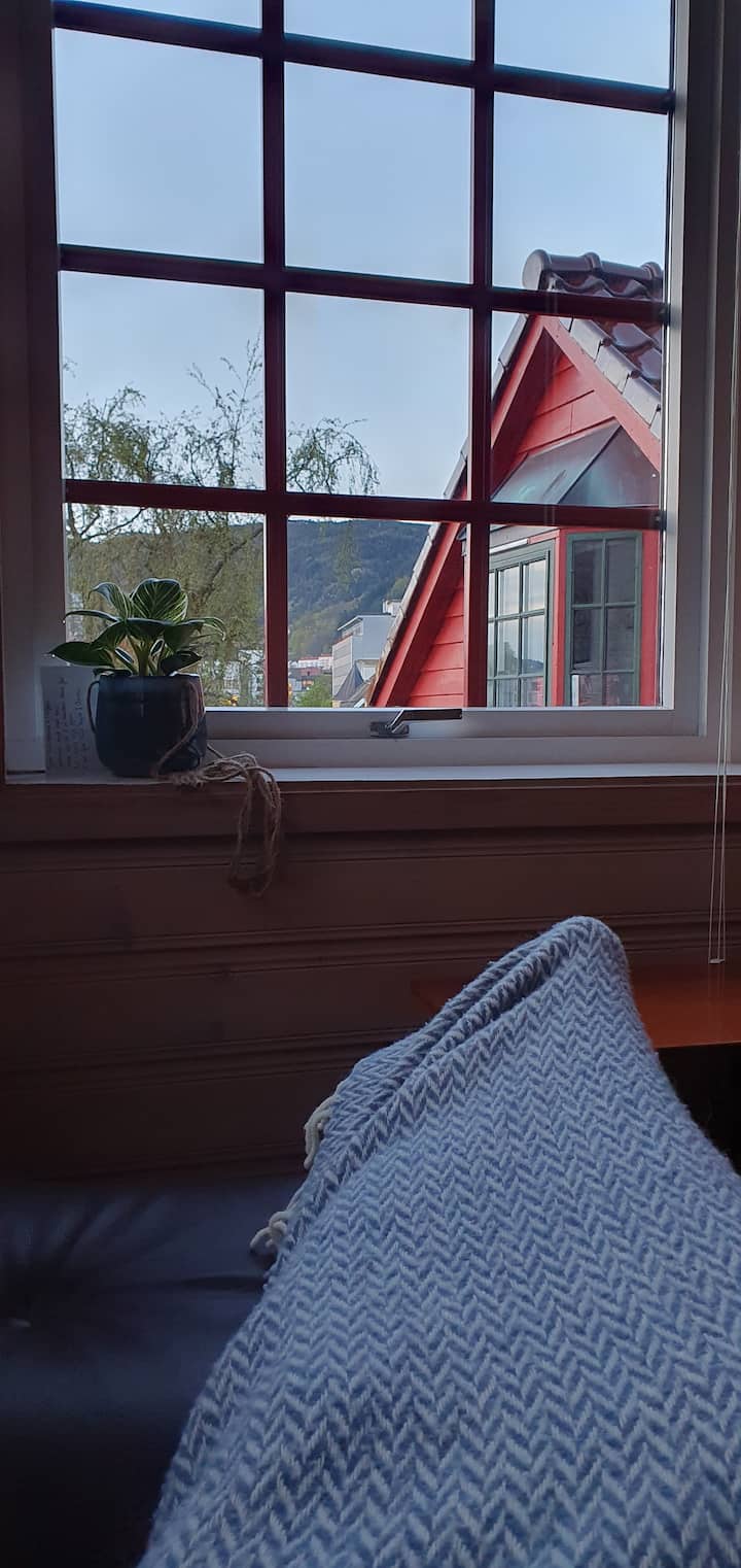 Byperle Med Altan Og Utsikt - Bergen