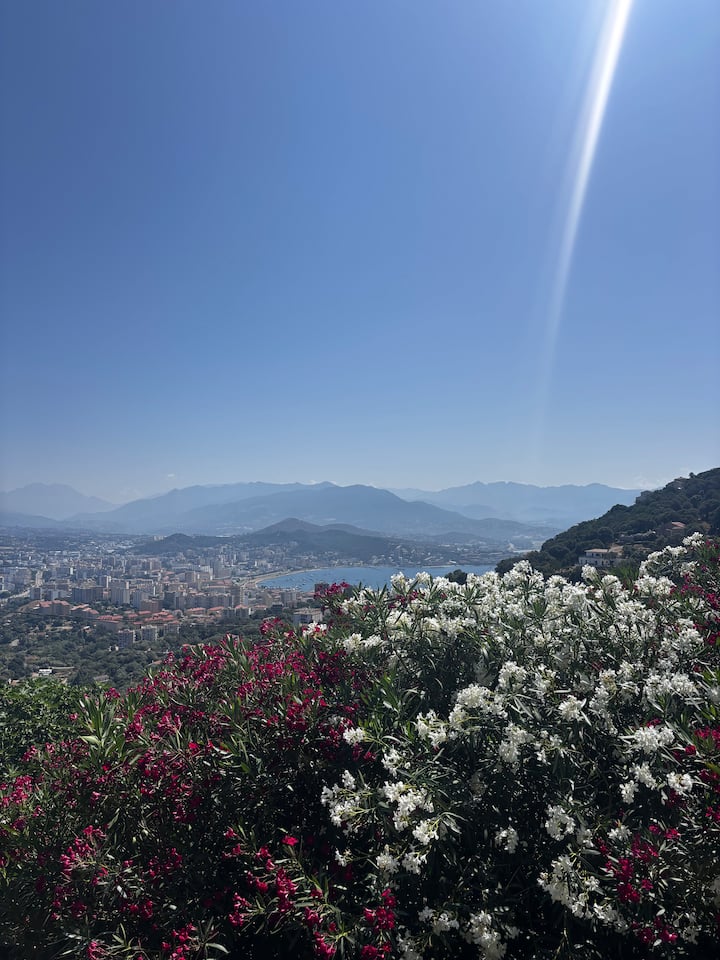 Avec Piscine Privée, Vue Mer Et Montagnes - Ajaccio