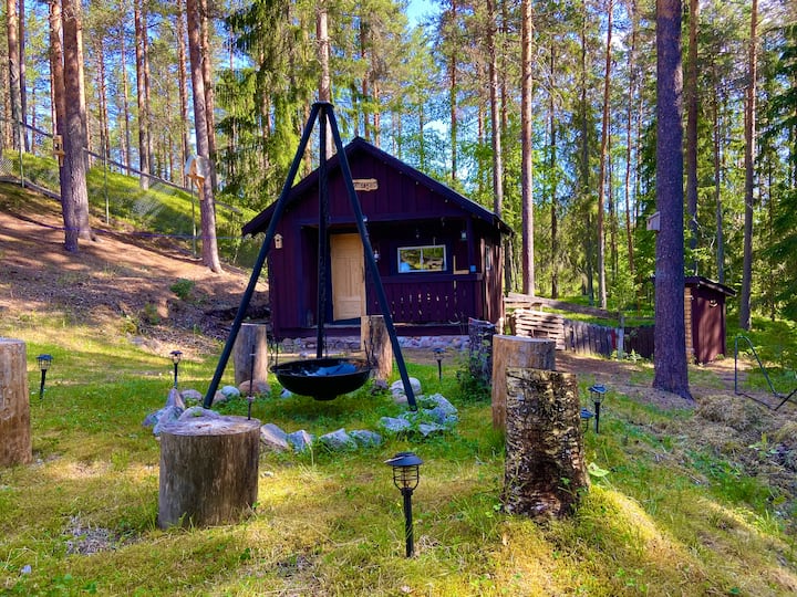 Log Cabin In The Wilderness - Sweden