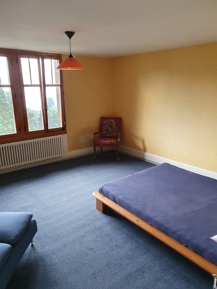 Unique Bnb W/ Lac&mountain Views - Thun