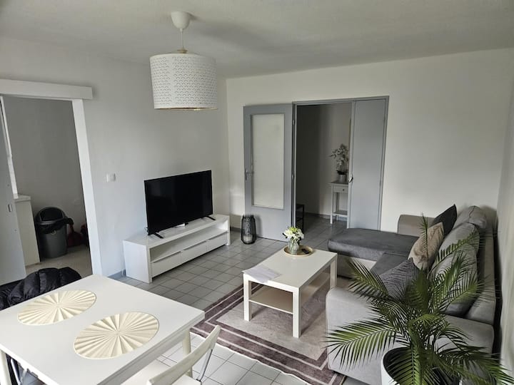 Appartement Meublé De 60m2+jardin - Salaise-sur-Sanne