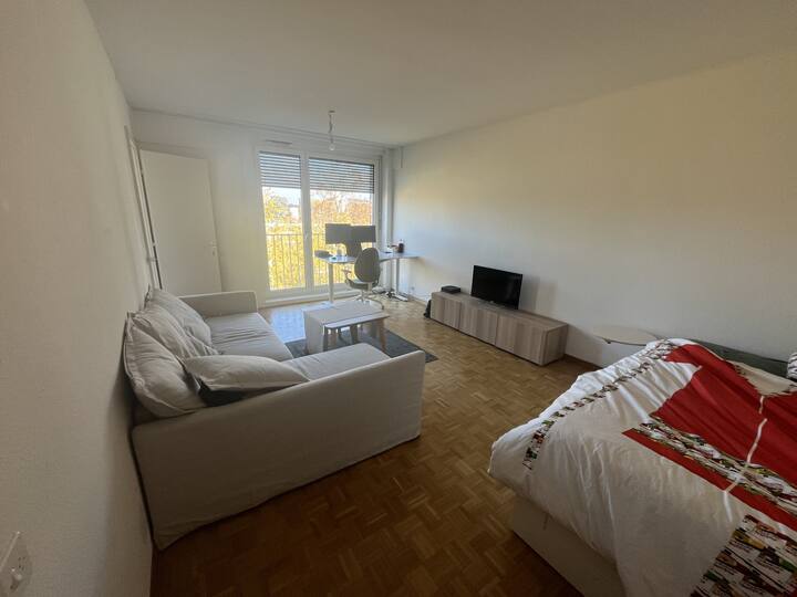 Cozy Furnished Flat Near Center - Genève