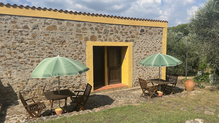 Azienda Agricola Val Borgina - Castiglione della Pescaia