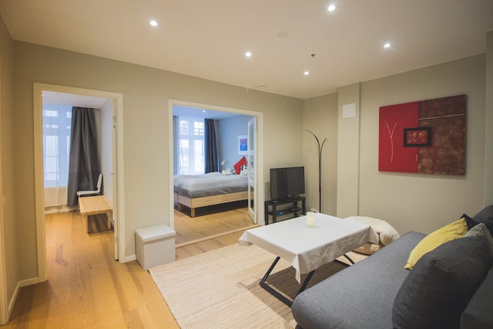 Luxury Design Apartment In Central Oslo - Oslo