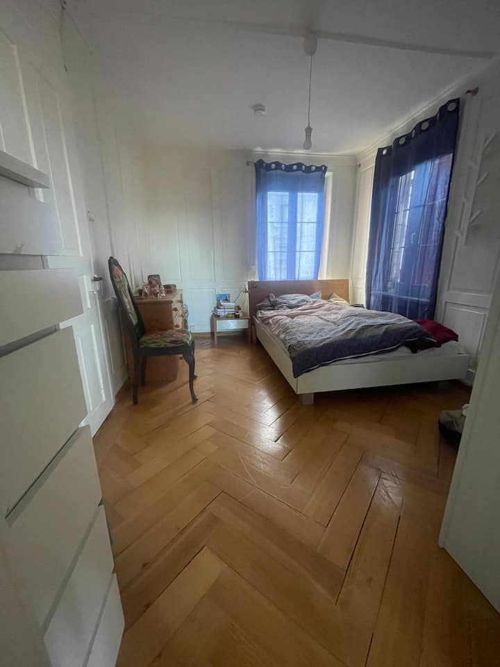 Cozy Apartment In Vintage Flair - St. Gallen