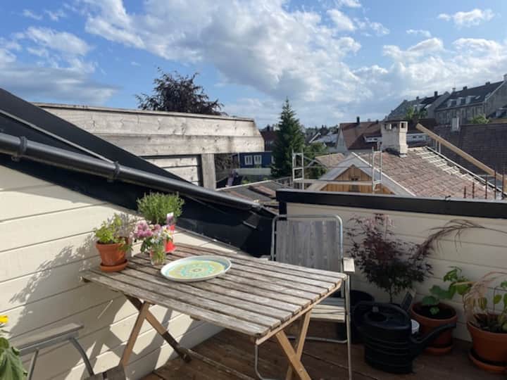 Toppleilighet På Bakklandet - Trondheim