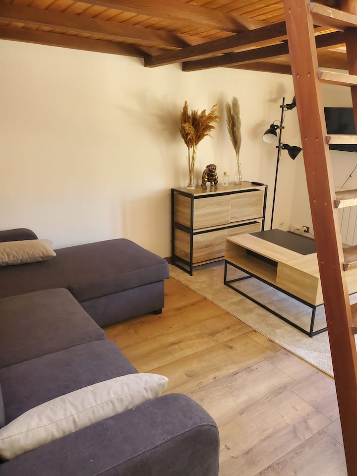 Appartement Cosy Et Lumineux - Plein Centre-ville - Épinal