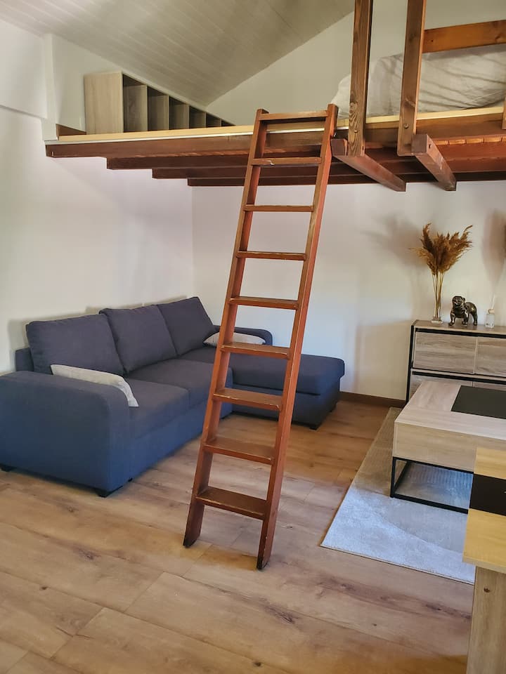 Appartement Cosy Et Lumineux - Plein Centre-ville - Lac de Bouzey