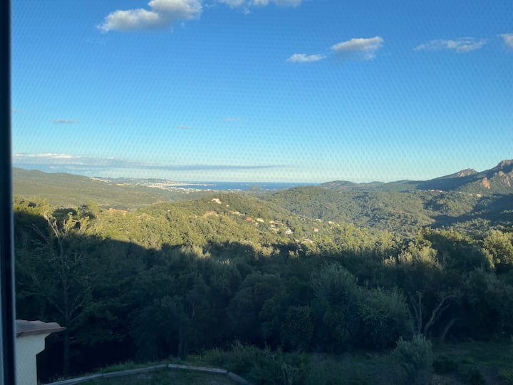 La Rêveuse - Fréjus