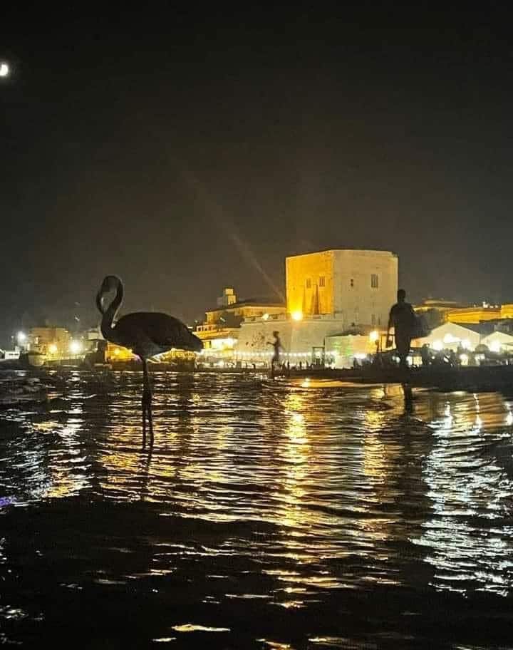 Kemilihouse  Finestra Sul Mare - Pozzallo