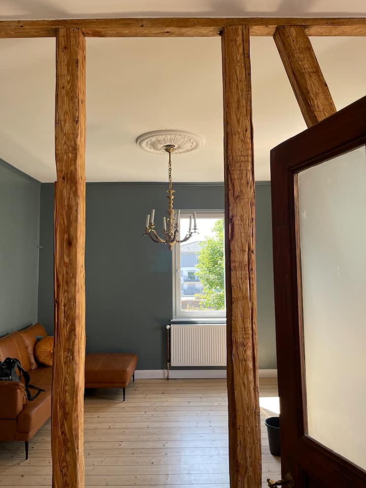 Freundliche Jugendstilwohnung - Bingen am Rhein