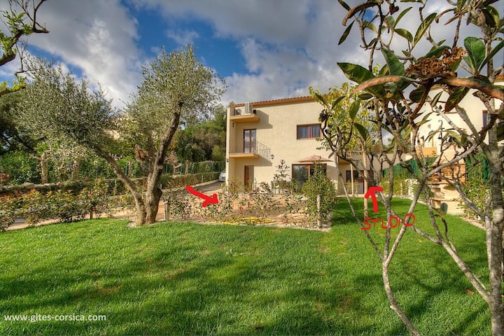 Studio - 1.7 Km D'agosta Plage - Porticcio