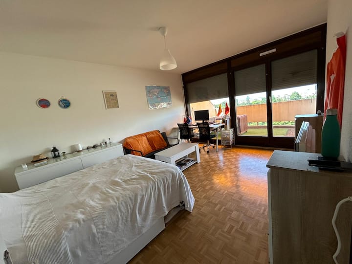 Apartment With Mountain Views - Ginebra