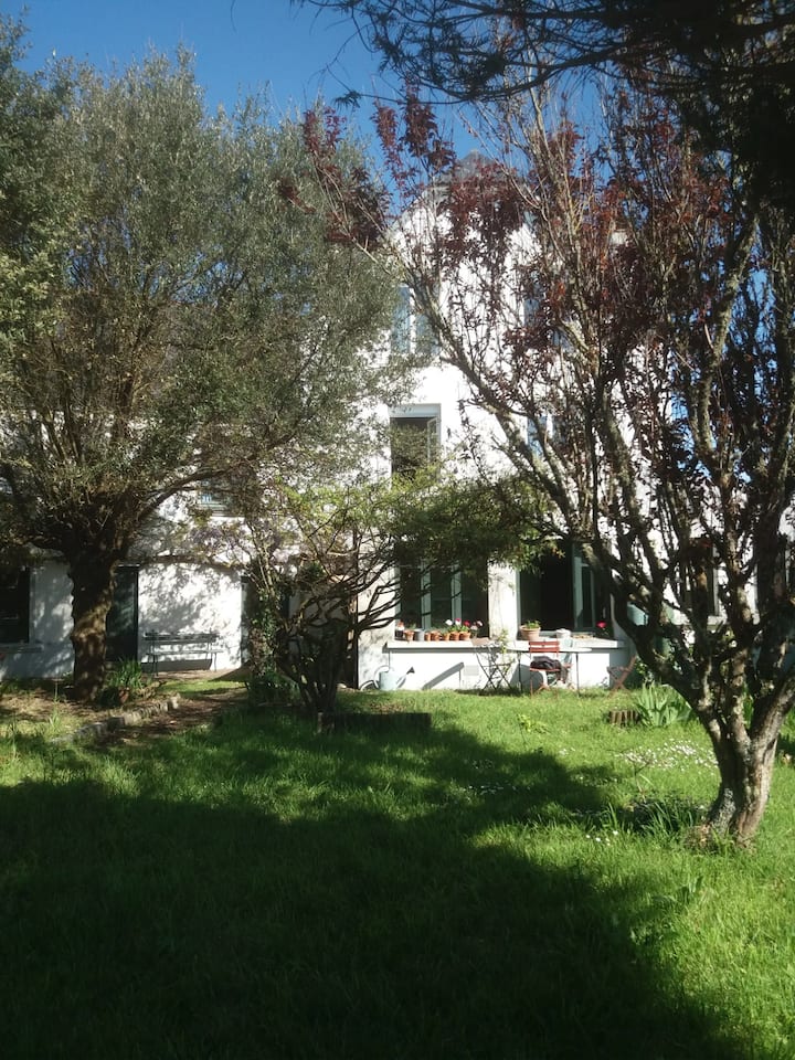 Maison Au Bord De L’océan - Penmarch