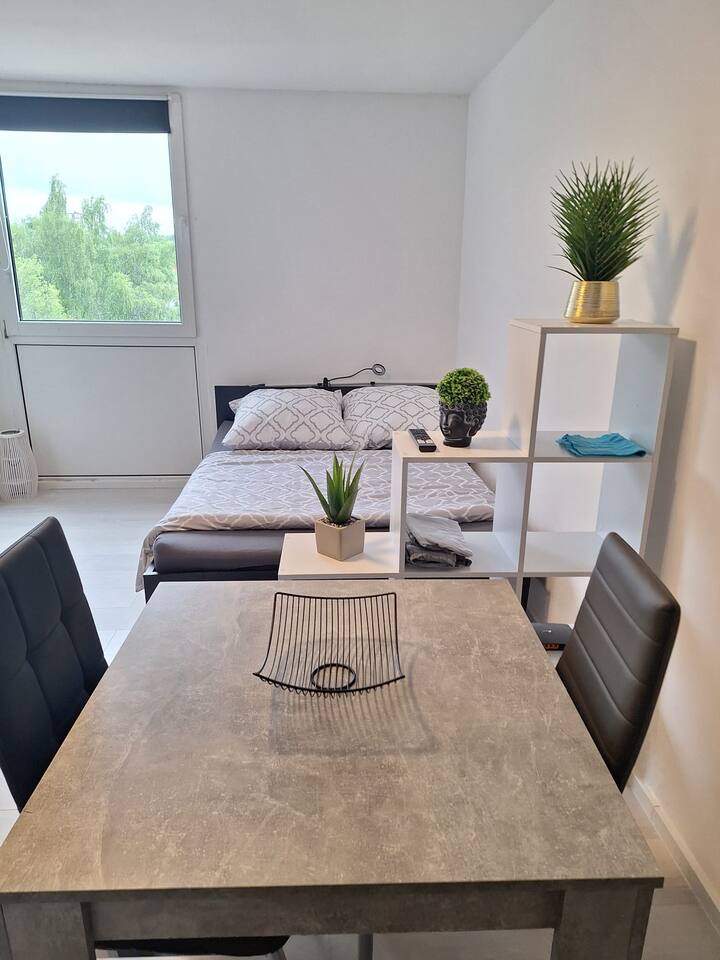 1 - Zimmer Apartment In Erbach - Homburg