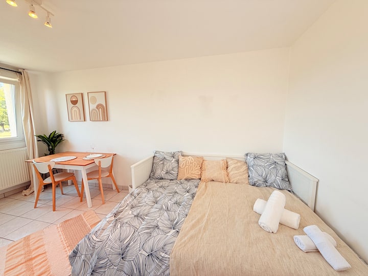 Le Nid Douillet – Parking Inclus – Haguenau - Haguenau