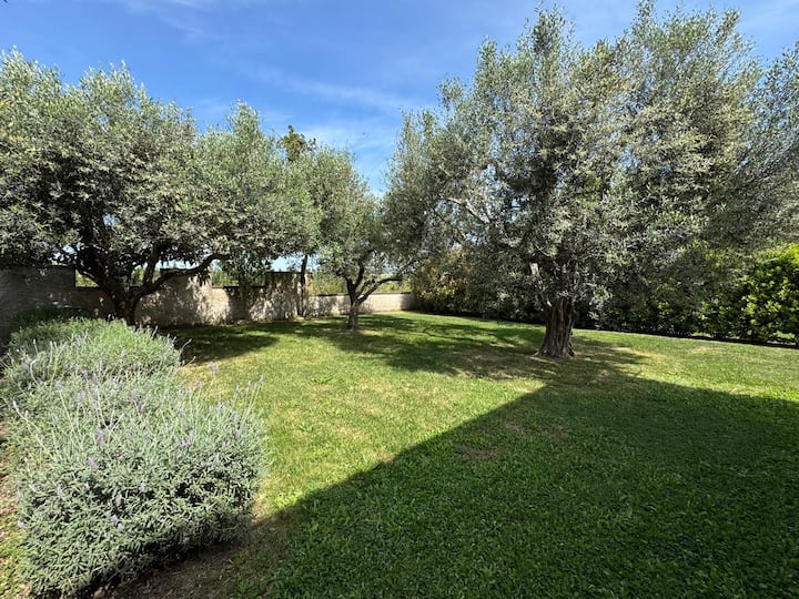 Casa Vacanze A Pescia Romana - Montalto di Castro