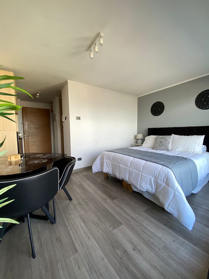 Confortabilidad Y Elegancia! - Concepción, Chile