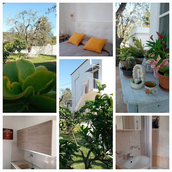 Peschici Affitto Bilocale - Peschici