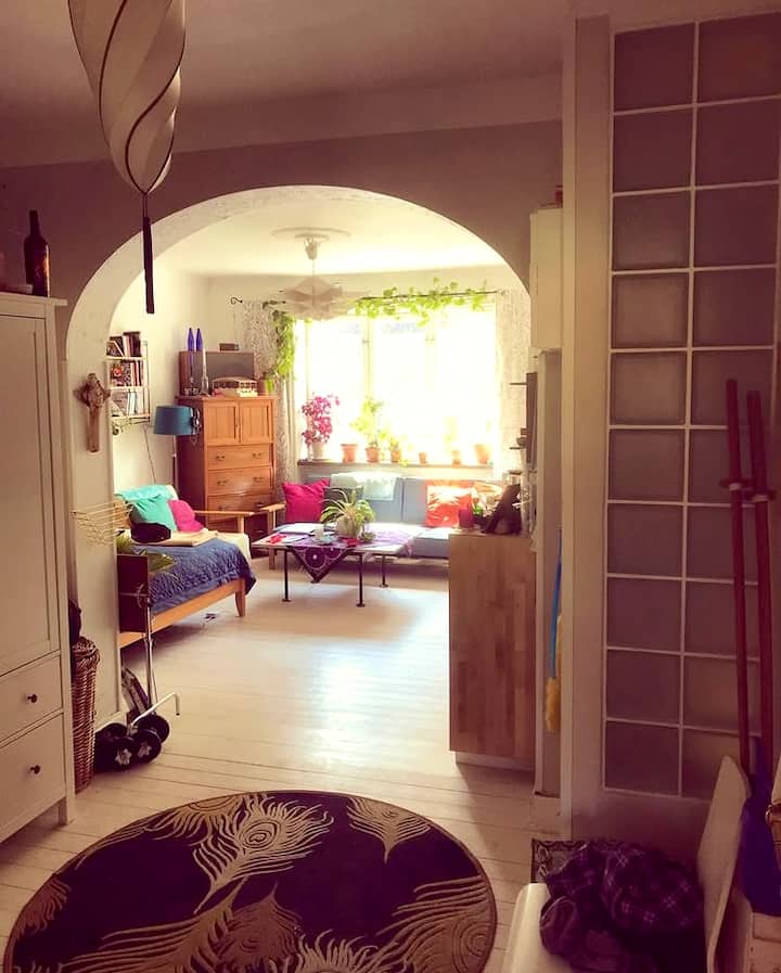 1:a På S:t Knut Med 3 Sovplatser - Malmö